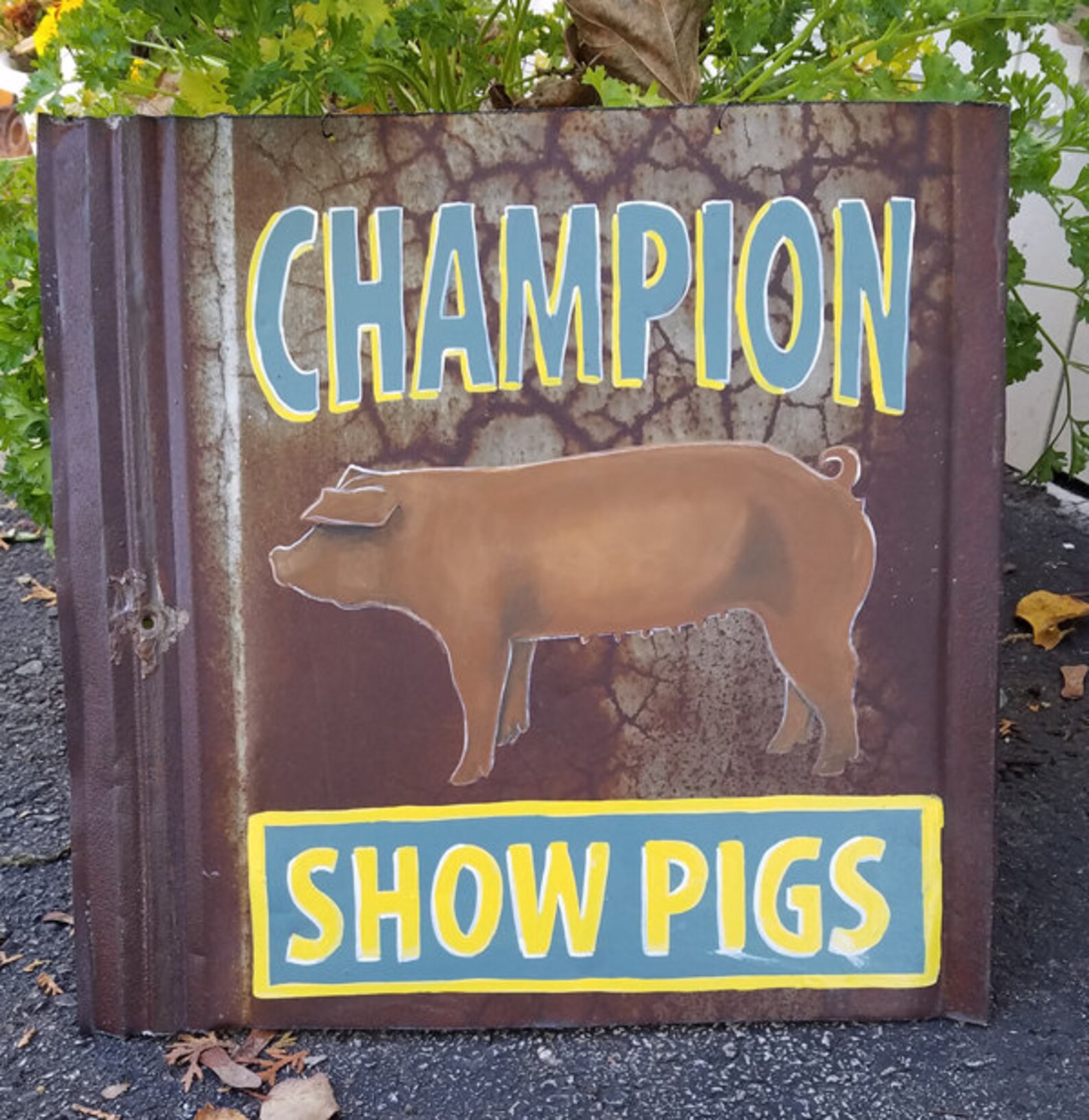Antique Rusty Metal Show Pigs Sign Hampshire Yorkshire Duroc - Etsy