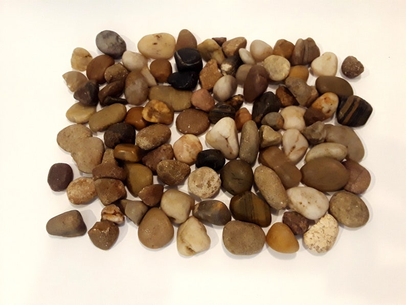 River Rocks Pebbles Multi Color | 16 Oz. | Natural Colors | Decorative ...