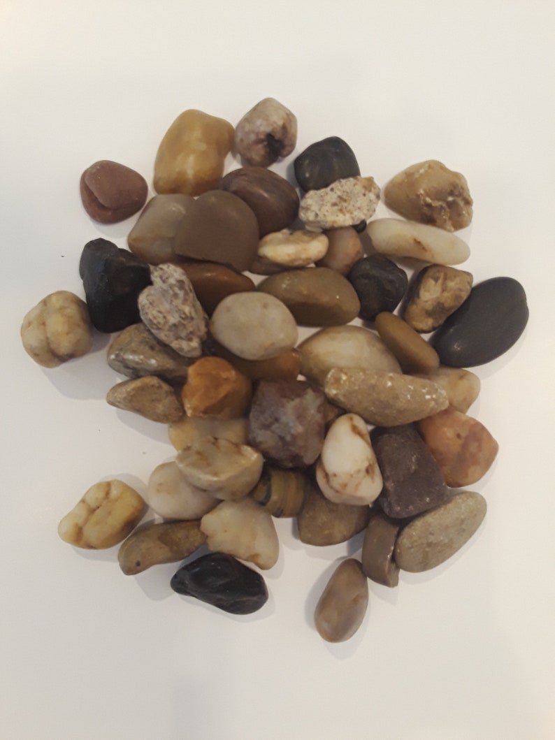 River Rocks Pebbles Multi Color | 16 Oz. | Natural Colors | Decorative ...