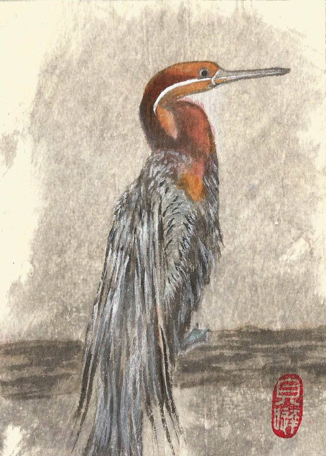 Hand-painted Anhinga Bird Print Blank Greeting Card - Etsy