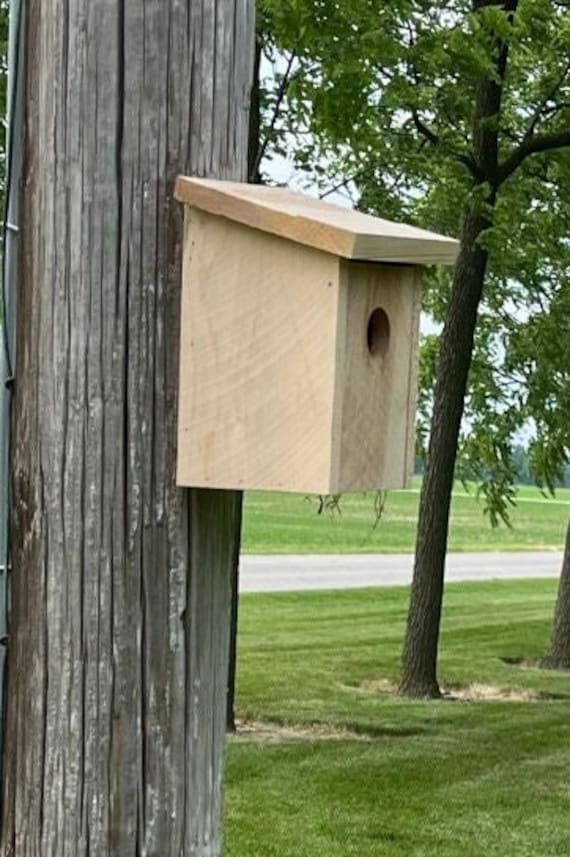 Cedar Bluebird House - Etsy