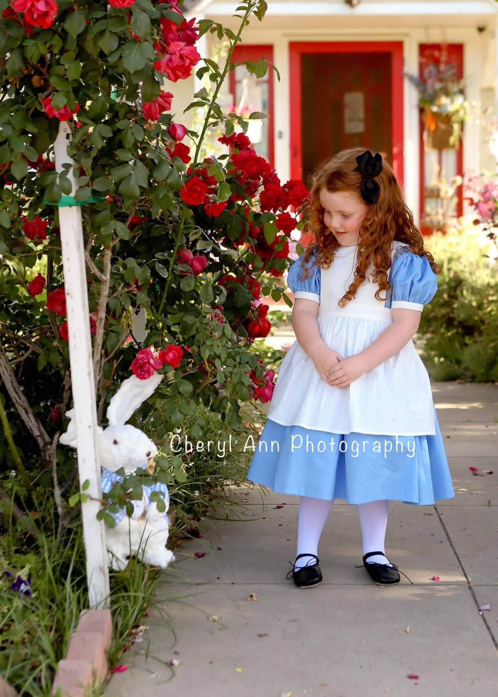Custom Made to Order Alice in Wonderland Inspired Dress Sz 12m to 10Y ...