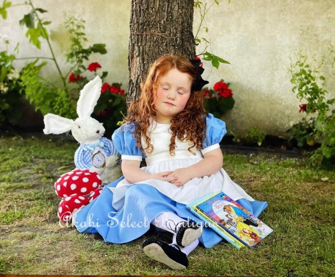 Custom Made to Order Alice in Wonderland Inspired Dress Sz 12m to 10Y ...
