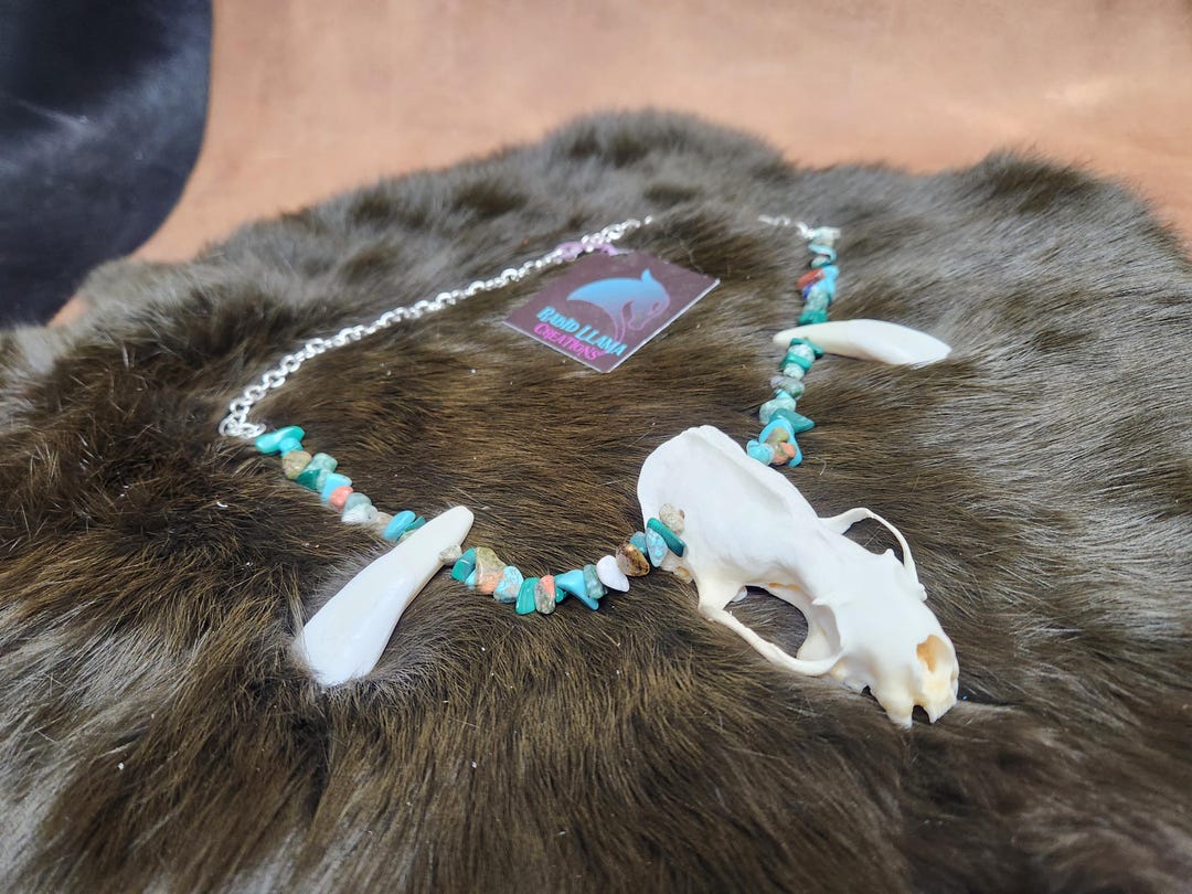 Mink Skull, Buffalo Tooth, and Stone Chip Necklace - Etsy