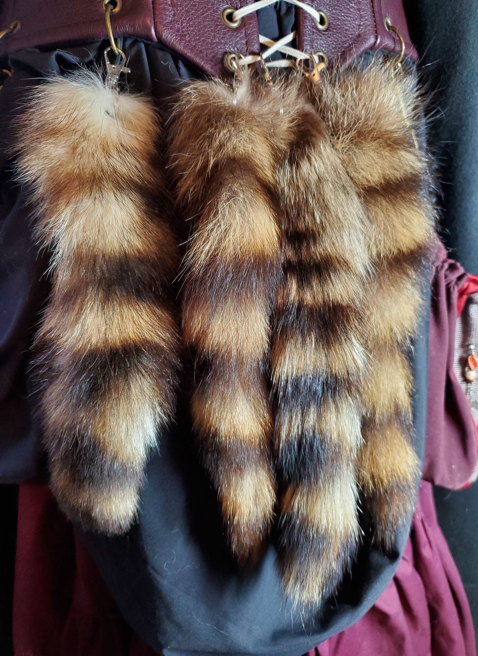 Real Raccoon Tail Taxidermy Keychain - Etsy