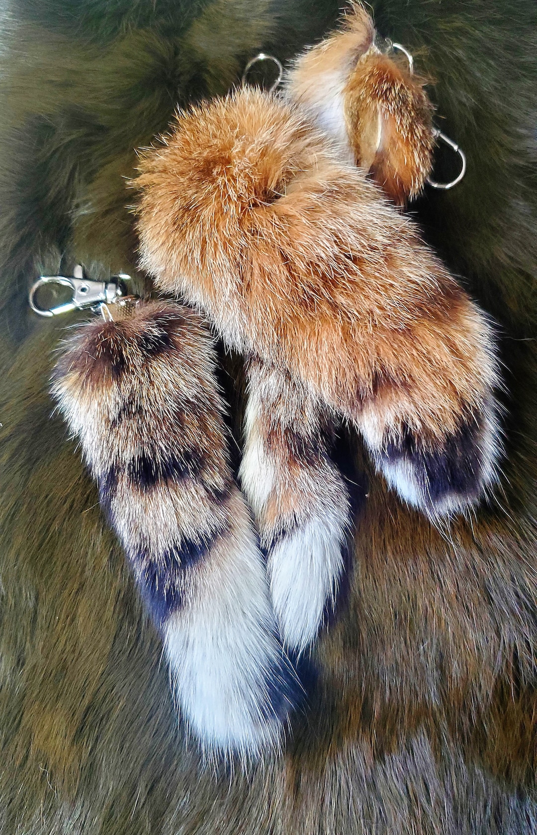 Bobcat Tail Keychain, Super Soft and Silky Real Fur Taxidermy Cat Tail ...