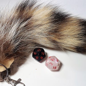Real Raccoon Tail Taxidermy Keychain - Etsy