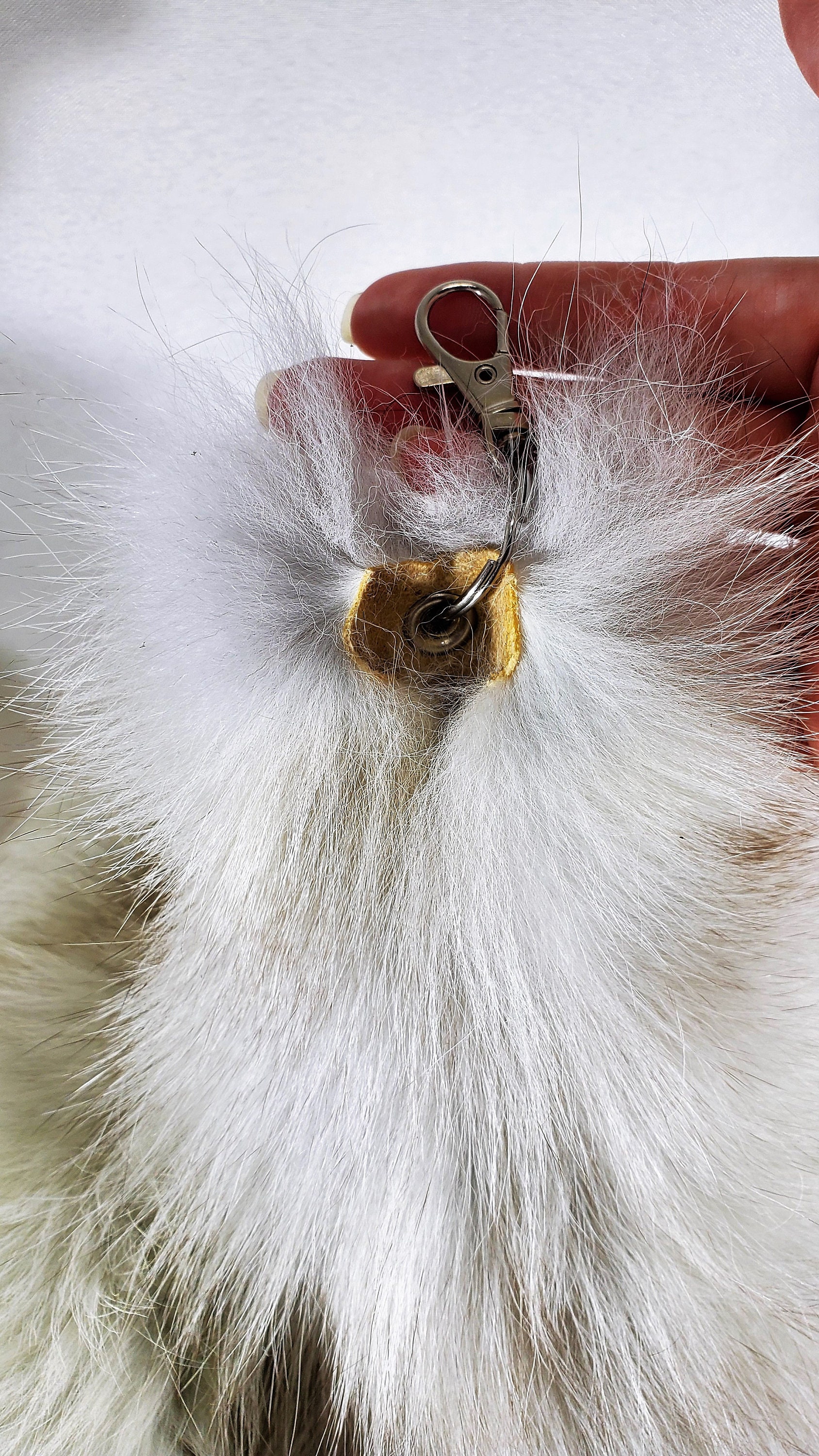Fox Tail Keychains Genuine Taxidermy Specialty Fox Fur for - Etsy
