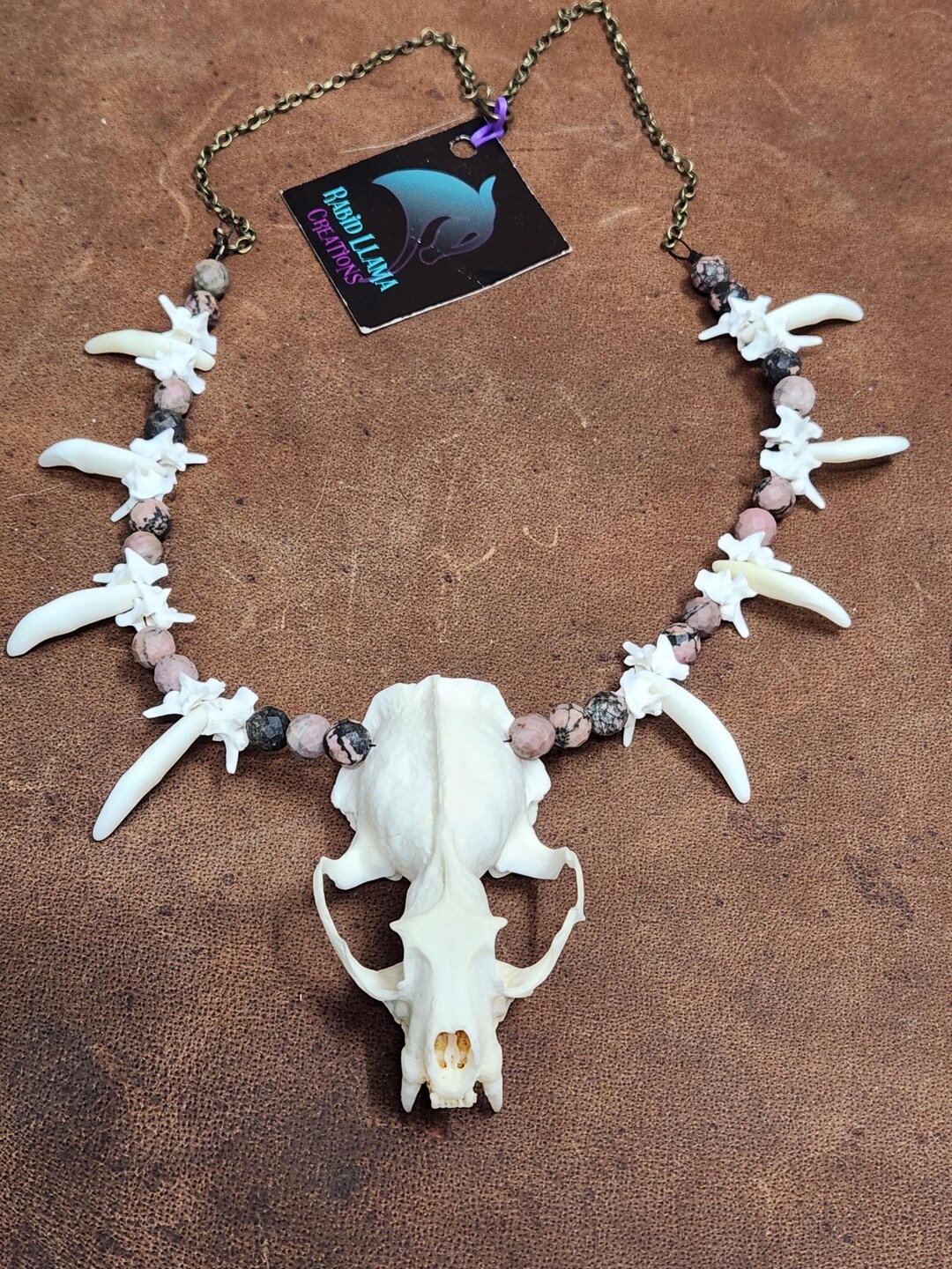 Mink Skull, Rattlesnake Vertebrae, Canine Teeth, and Stone Necklace - Etsy