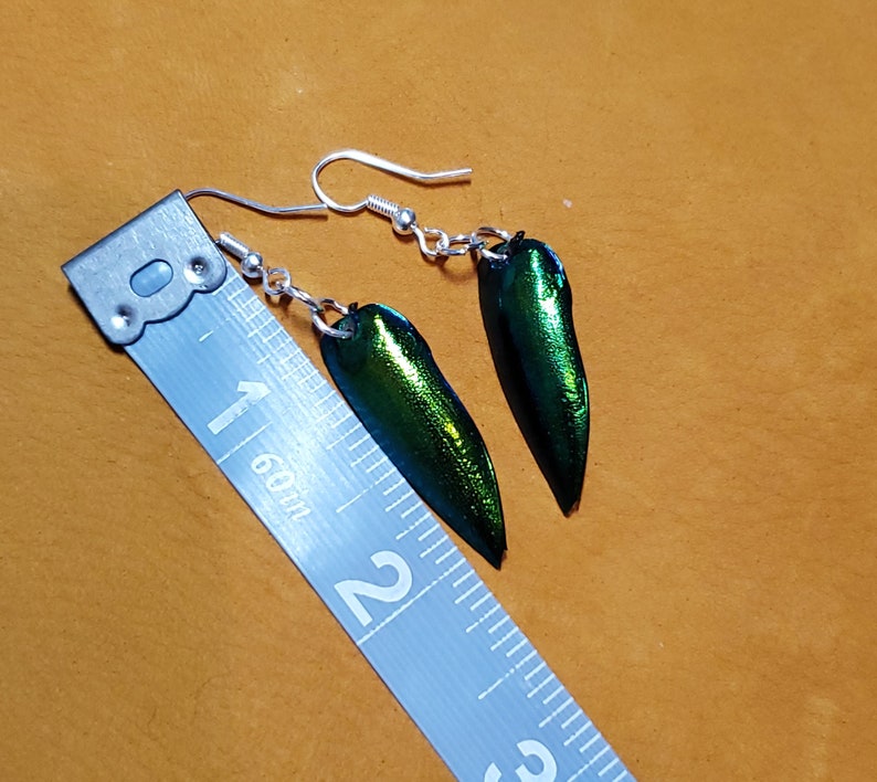 Real Jewel Beetle Wing Earrings, Insect Wings Jewelry - Etsy