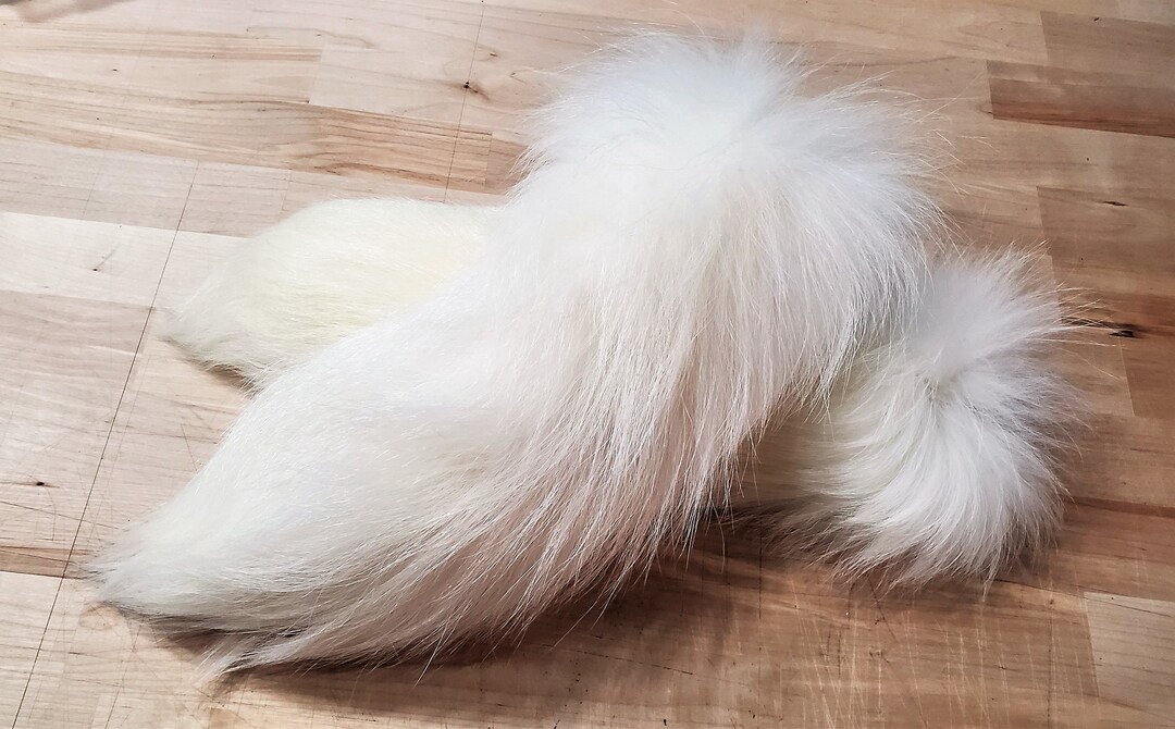 1113 White Tanuki Tail Keychain Real Taxidermy - Etsy