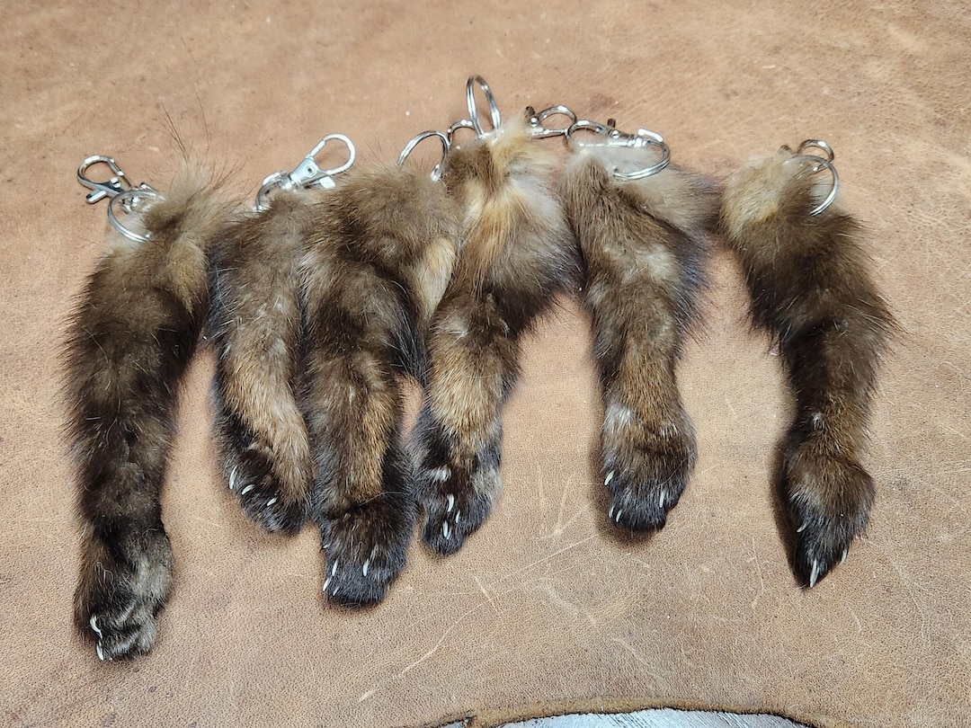 Pine Marten Paw Keychain, Real Taxidermy Foot - Etsy