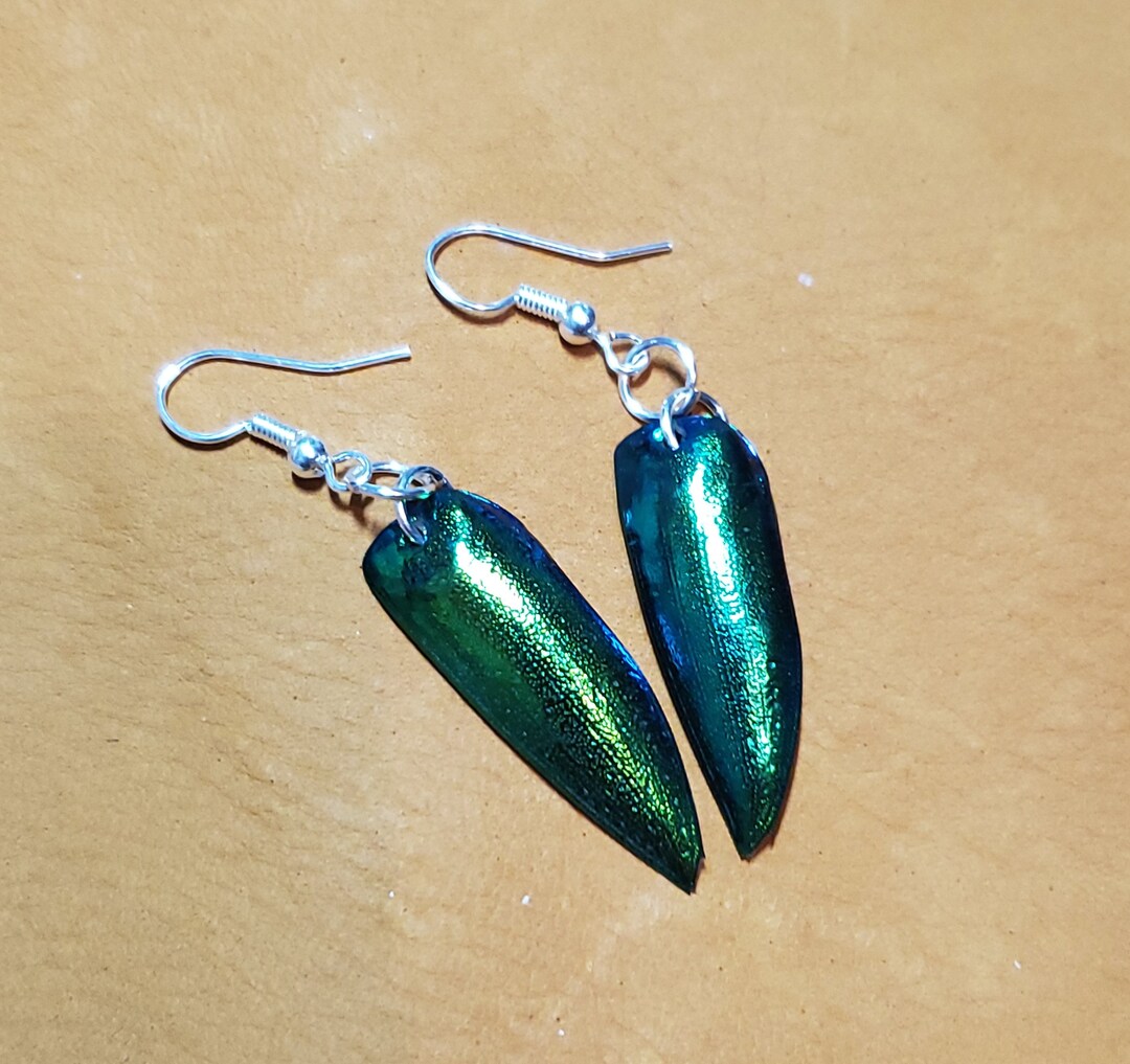 Real Jewel Beetle Wing Earrings, Insect Wings Jewelry - Etsy
