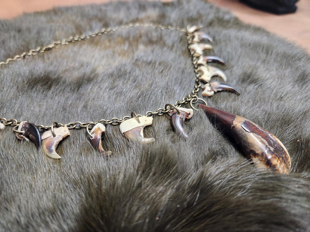 Buffalo Tooth, Bobcat Claw, and Coyote Claw 20" Necklace With Bronze ...