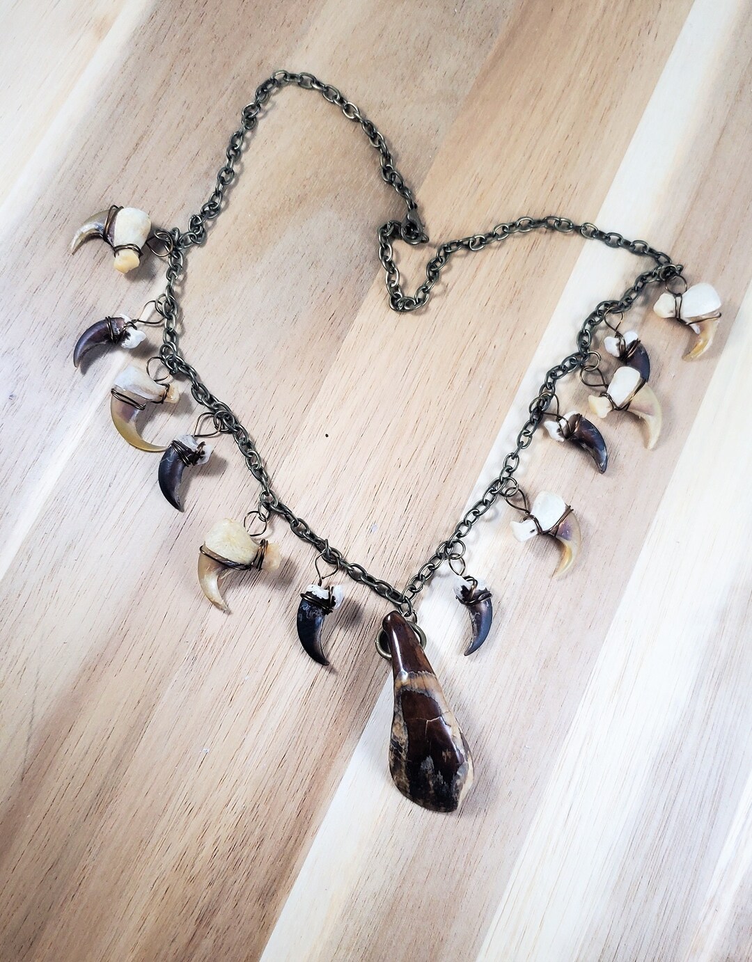 Buffalo Tooth Bobcat Claw and Coyote Claw 20 Necklace - Etsy
