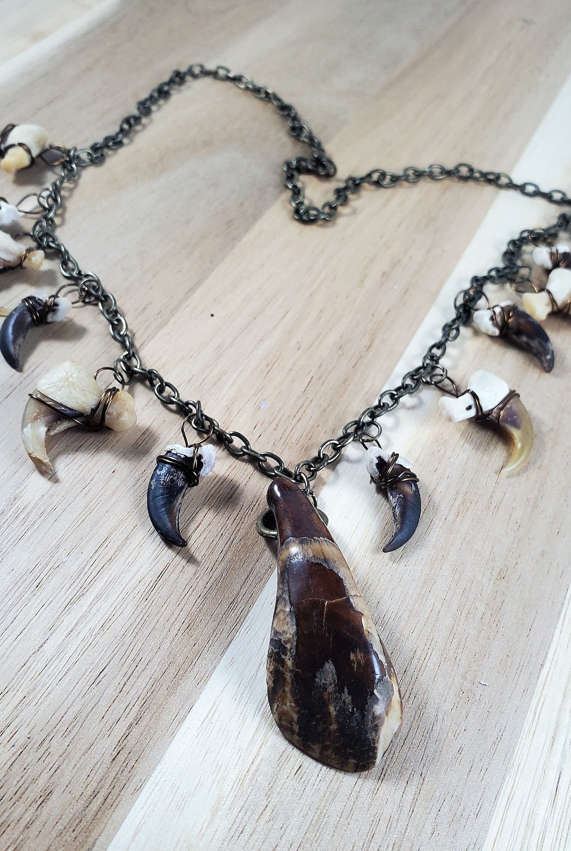 Buffalo Tooth Bobcat Claw and Coyote Claw 20 Necklace - Etsy