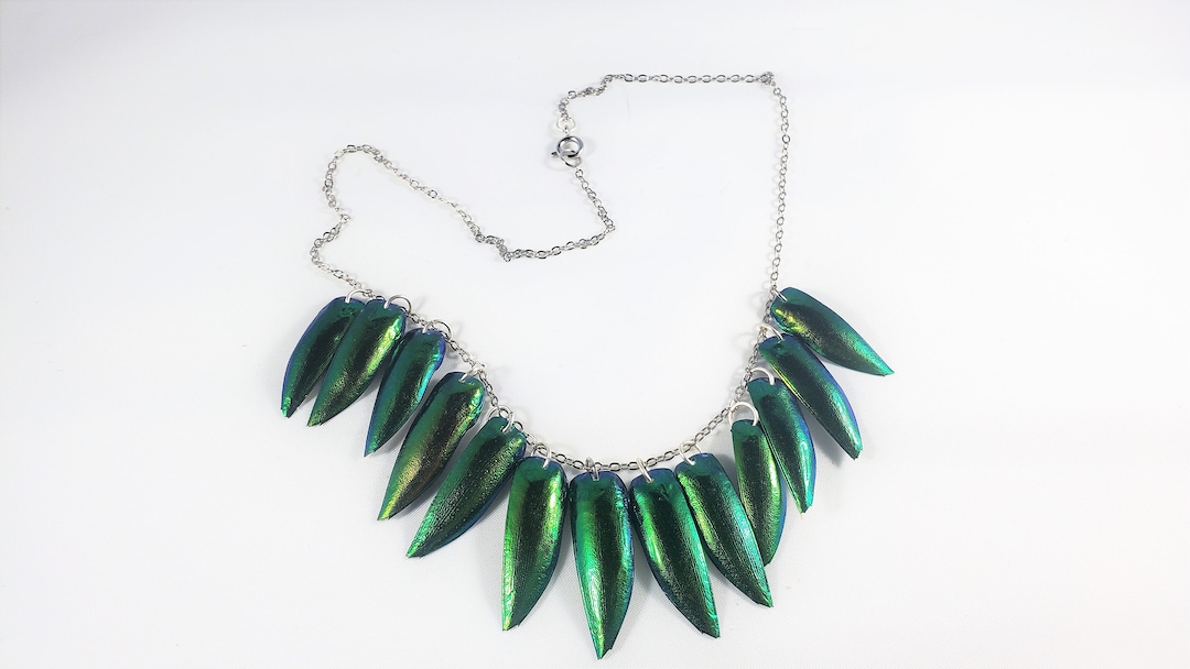 Jewel Beetle Wing Necklace With Silver Colored Chain - Etsy