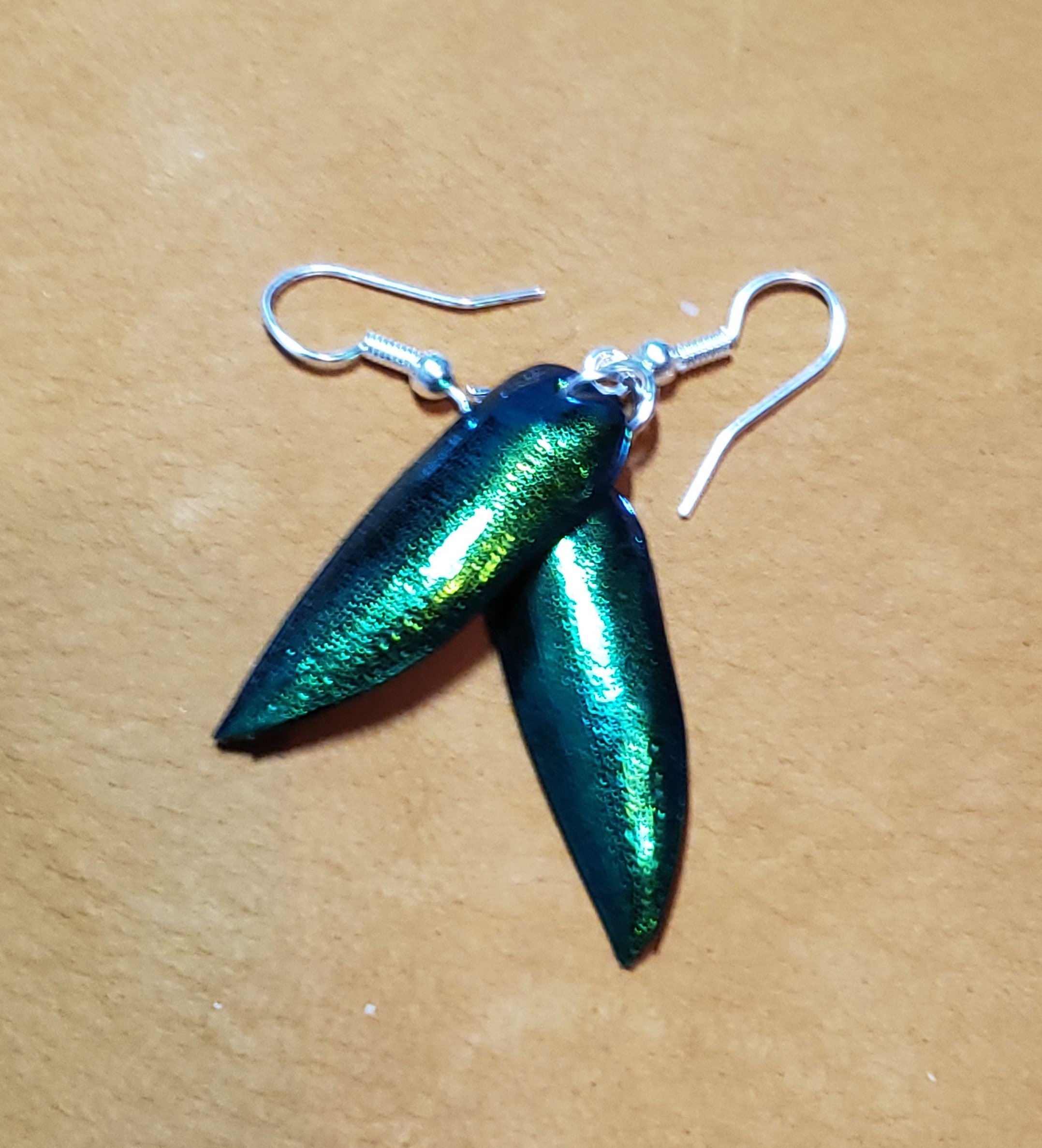 Real Jewel Beetle Wing Earrings, Insect Wings Jewelry - Etsy