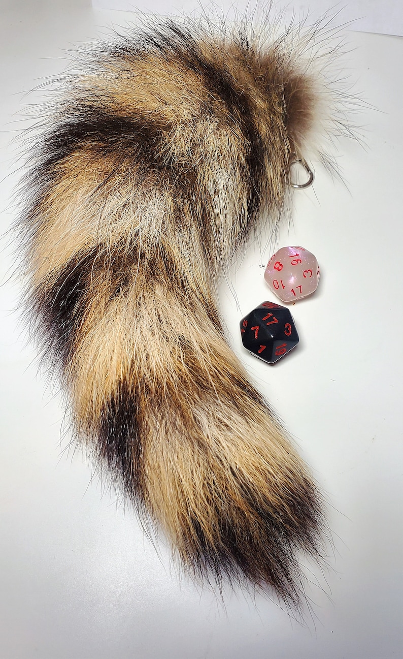 Real Raccoon Tail Taxidermy Keychain - Etsy