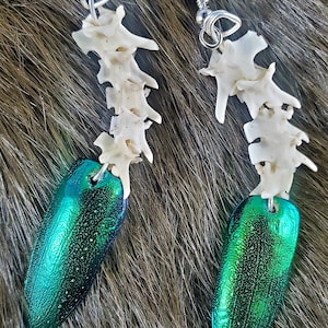 Rattlesnake Vertebrae Drop Earrings, Real Bone Snake Spine Jewelry - Etsy