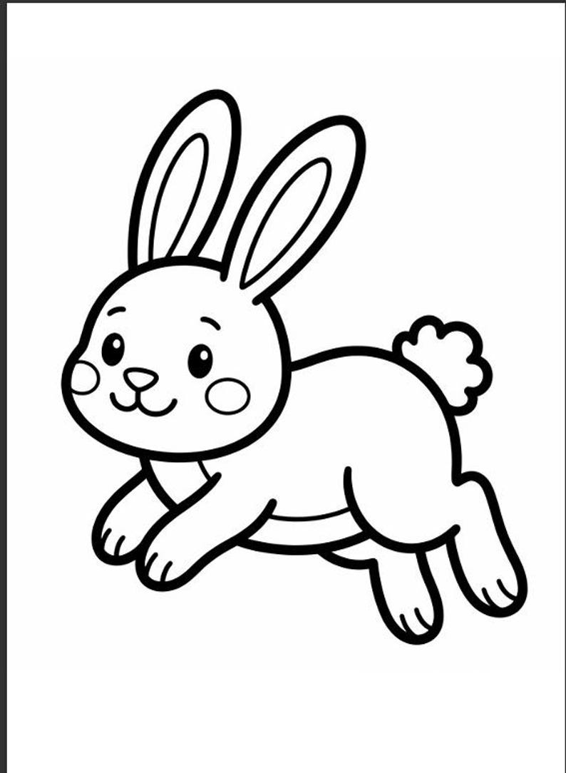 Animal Coloring Pages for Adults and Kids (PDF Download) - Etsy