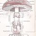 Mushroom ID and Anatomy Illustration Set of TWO Educational Posters ...