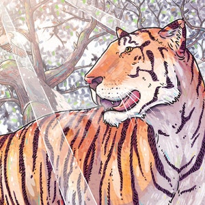 Spring Tigress Custom Nature Illustration Giclée Print - Etsy
