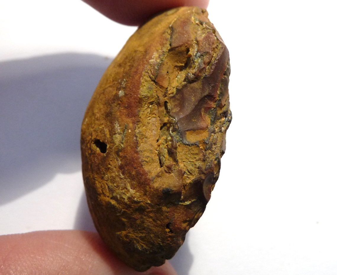 Natural Australian Yowah Nut Opal Specimen 81ct 2418 - Etsy