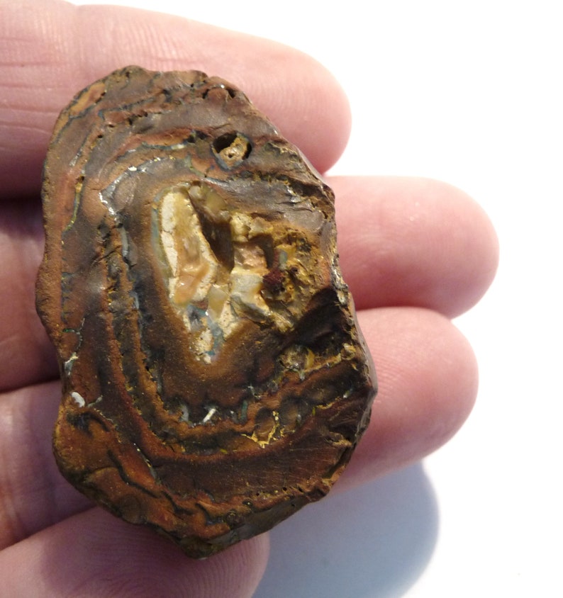 Natural Australian Yowah Nut Opal Specimen 81ct 2418 - Etsy