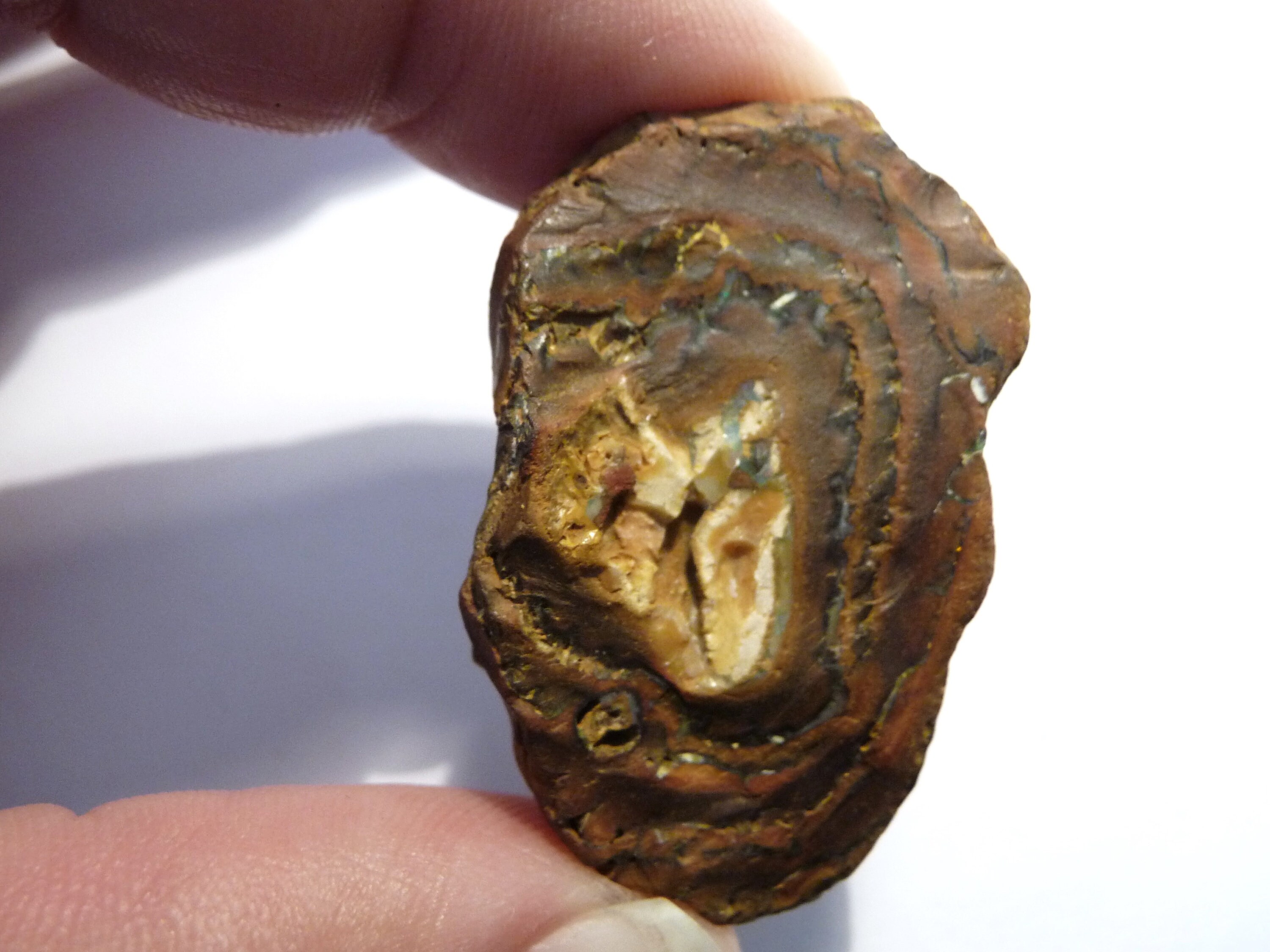 Natural Australian Yowah Nut Opal Specimen 81ct 2418 - Etsy