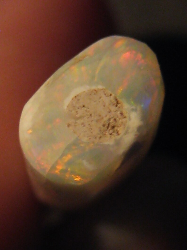 Natural Australian Opal Belemnite Tip Fossil Polished Specimen (1130 ...