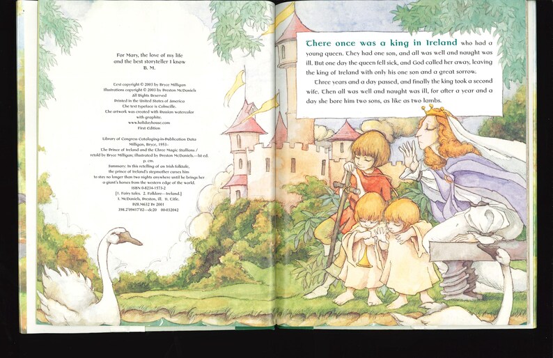 Vintage Childrens Irish Folktale Picture Book the Prince of Ireland and ...