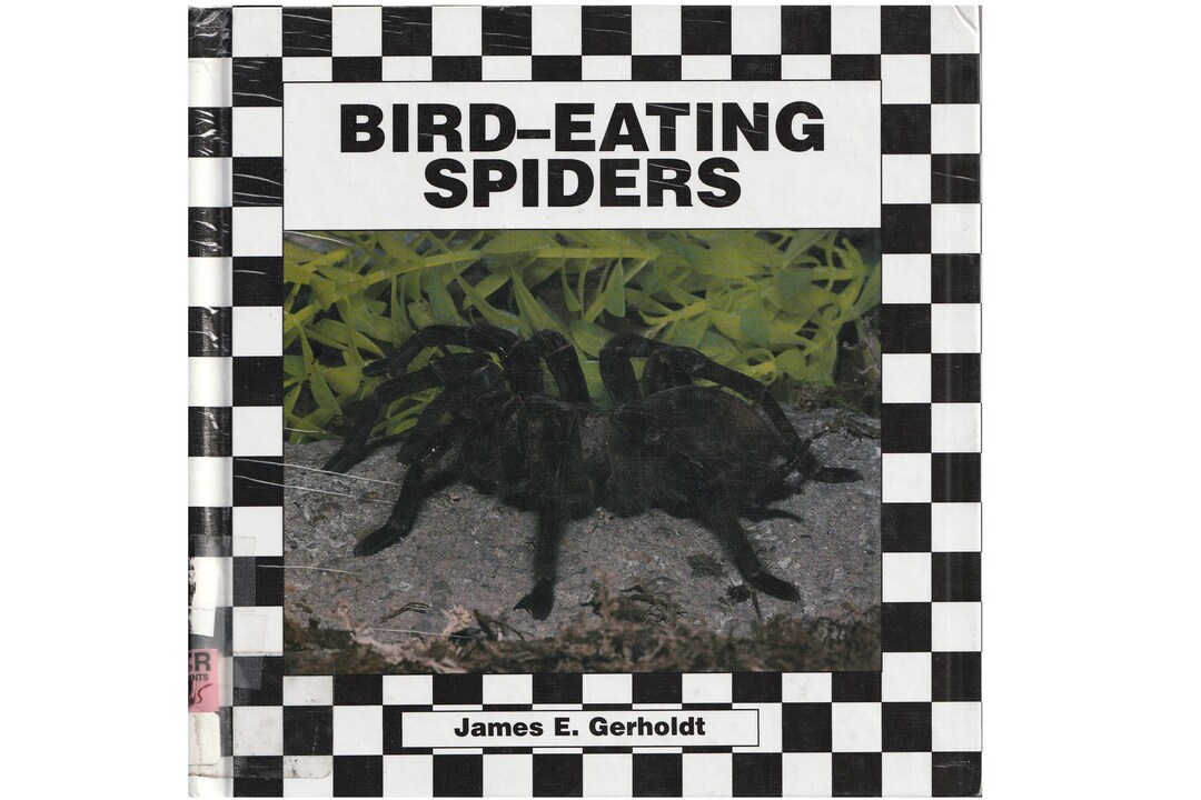Vintage Childrens Nonfiction Book Bird Eating Spiders, Tarantulas ...