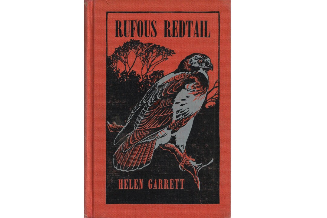Vintage Childrens Book Rufous Redtail, Helen Garrett, Red Tailed Hawk ...