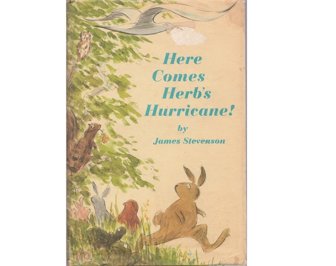 Vintage James Stevenson Childrens Book Here Comes Herbs Hurricane ...