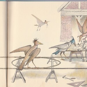 Vintage Adrienne Admas Childrens Pictur Book Mr Biddle and the Birds by ...