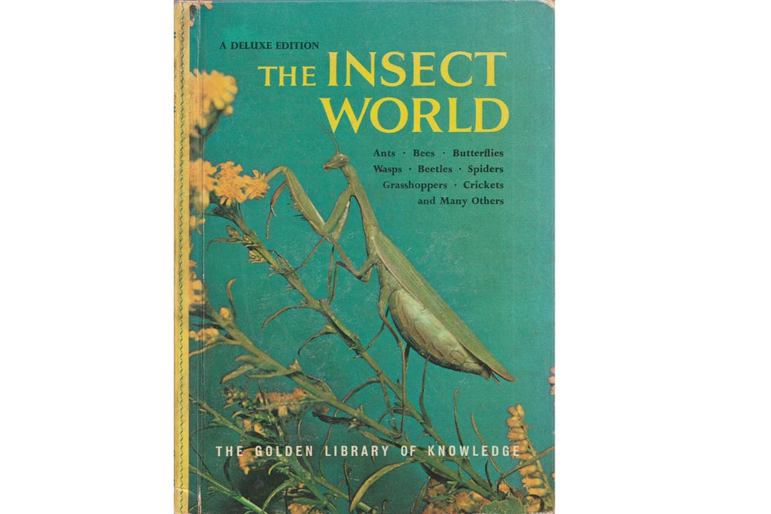 Vintage Golden Library of Knowledge Deluxe Edition Childrens Insects ...