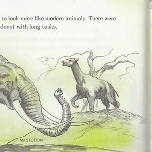 Vintage Childrens Easy Reader Dinosaur Nonfiction Book I Can Read About ...