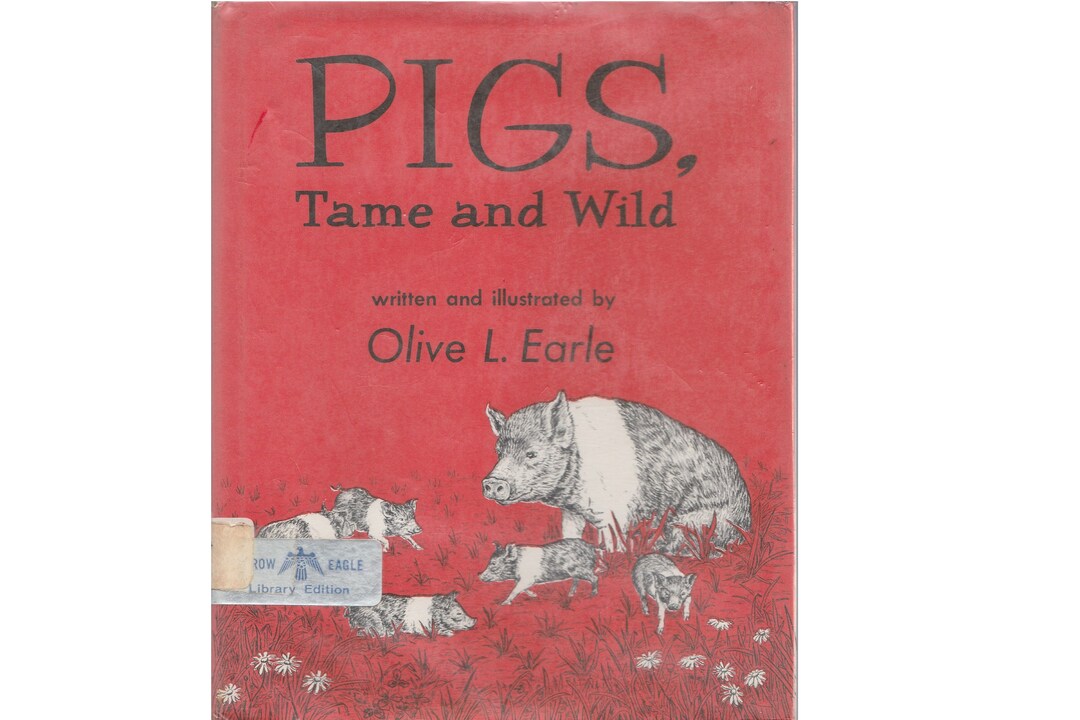 Vintage Childrens Nonfiction Book Pigs Tame and Wild, Olive Earle ...