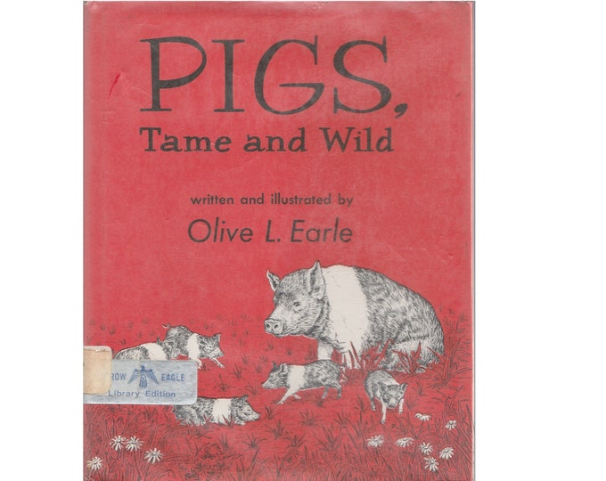 Vintage Childrens Nonfiction Book Pigs Tame and Wild, Olive Earle ...