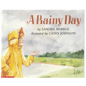 Vintage Childrens Nature Study Picture Book A Rainy Day, Homeschool ...