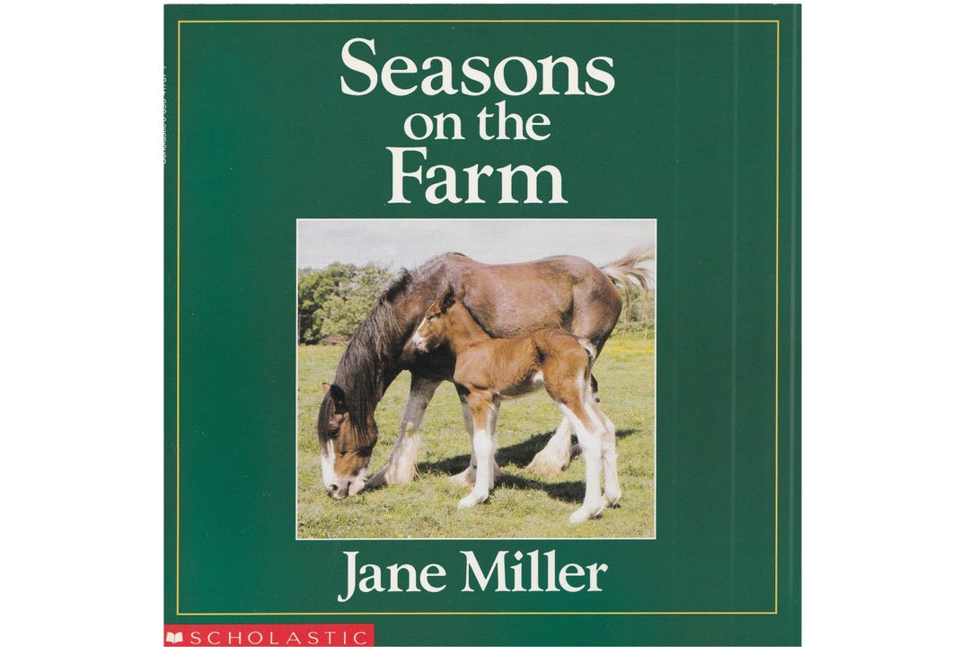 Vintage Preschool Childrens Picture Book Seasons on the Farm, Four ...