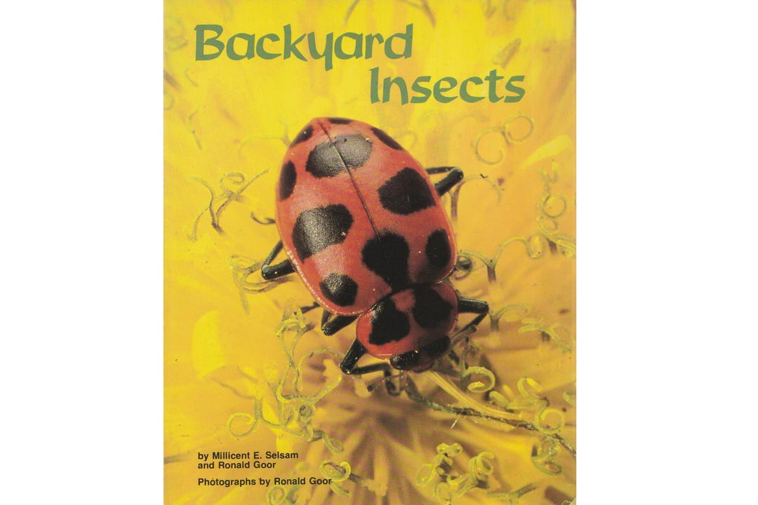 Vintage Nature Study Childrens Picture Book Backyard Insects, Millicent ...