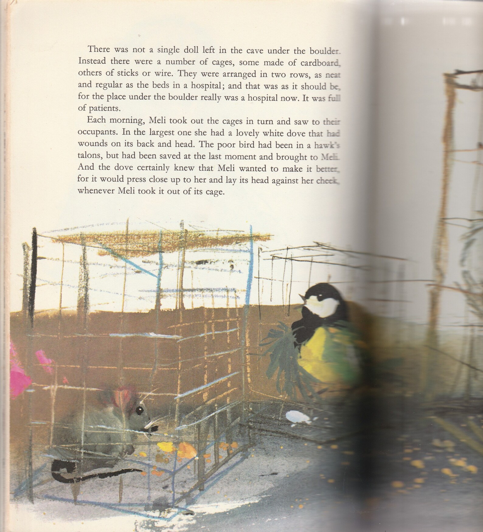 The Big Book of Pets Vintage Childrens Book Animal Stories - Etsy