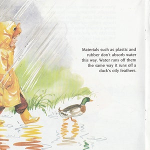 Vintage Childrens Nature Study Picture Book A Rainy Day, Homeschool ...