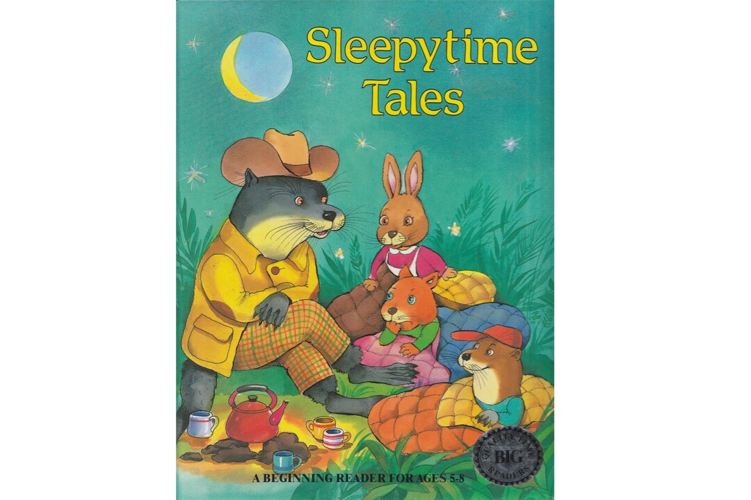 Vintage Childrens Easy Beginner Reader Bedtime Story Book Sleepytime ...