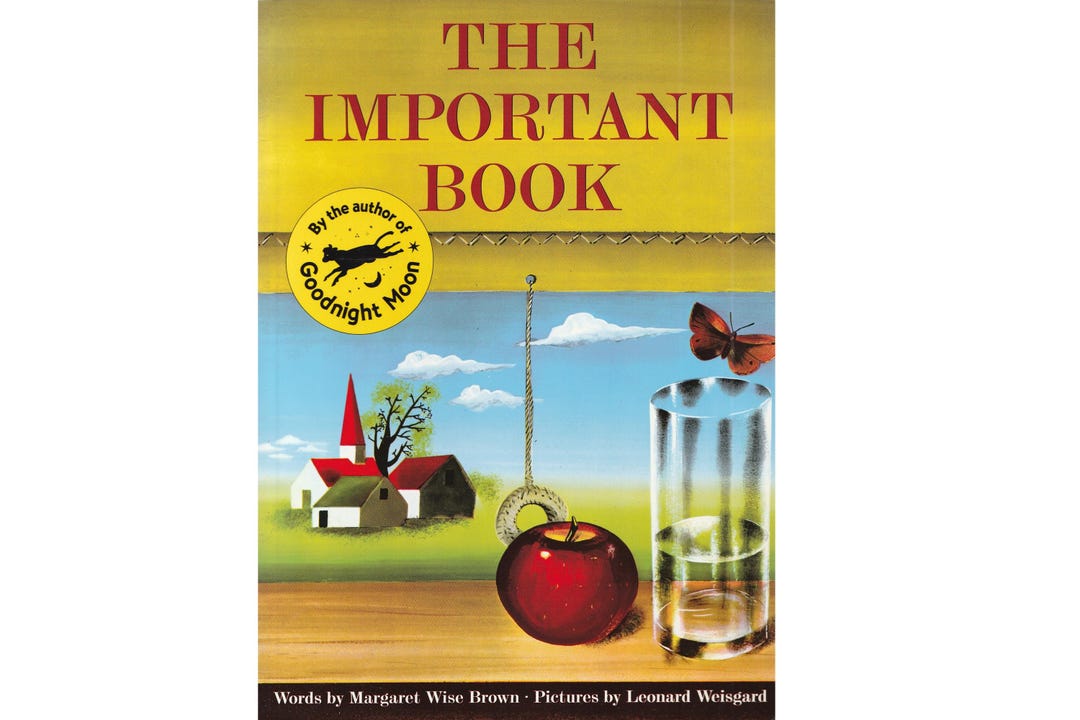Vintage Margaret Wise Brown Preschool Picture Book the Important Book ...