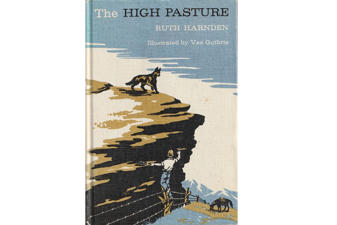 Vintage YA Childrens Dog Story the High Pasture, Colorado Mountain ...