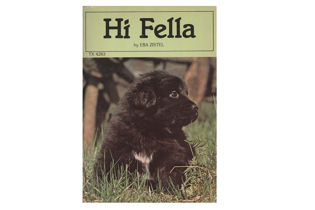 Vintage Childrens Dog Book Hi Fella, Baby Puppy, Black Dog, Lost in the ...