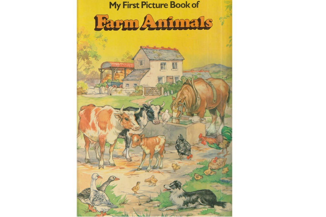 Vintage Preschool Childrens Book My First Picture Book of Farm Animals ...